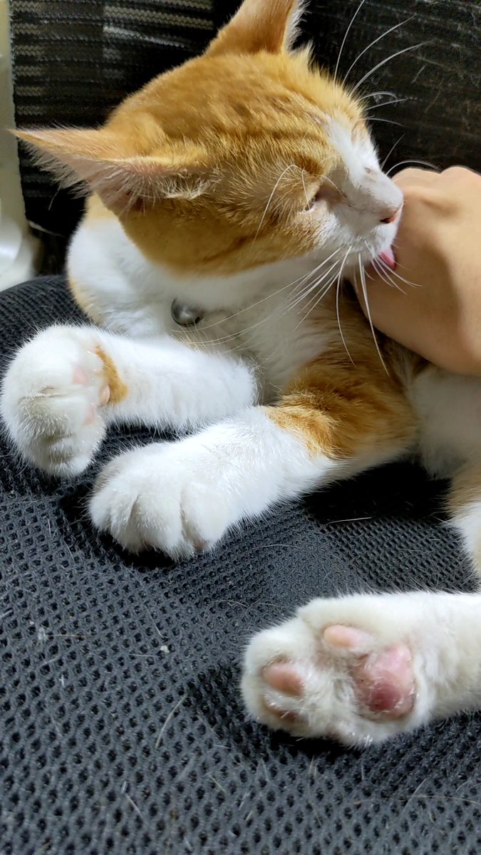 album - ryokosaka.com